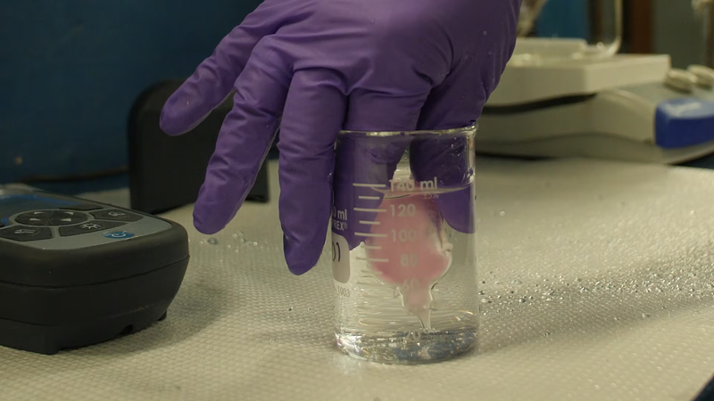 EPA & Waterstep CRADA Success Video - Perlow Productions